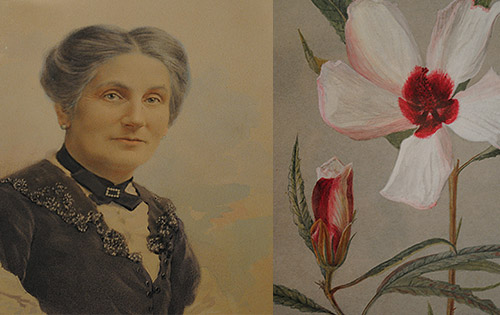 An exciting discovery | New England Regional Art Museum