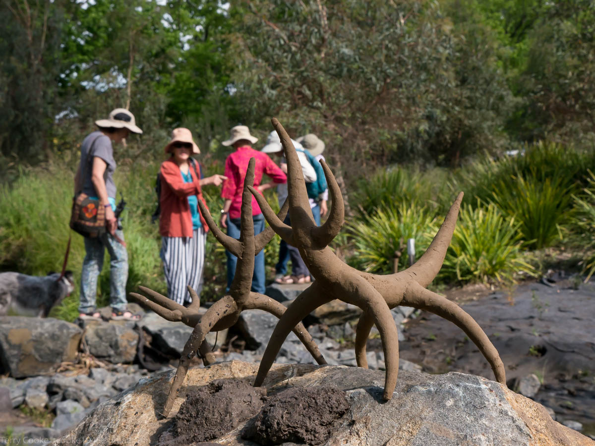 Black Gully Festival demonstrates community interest in improving ...