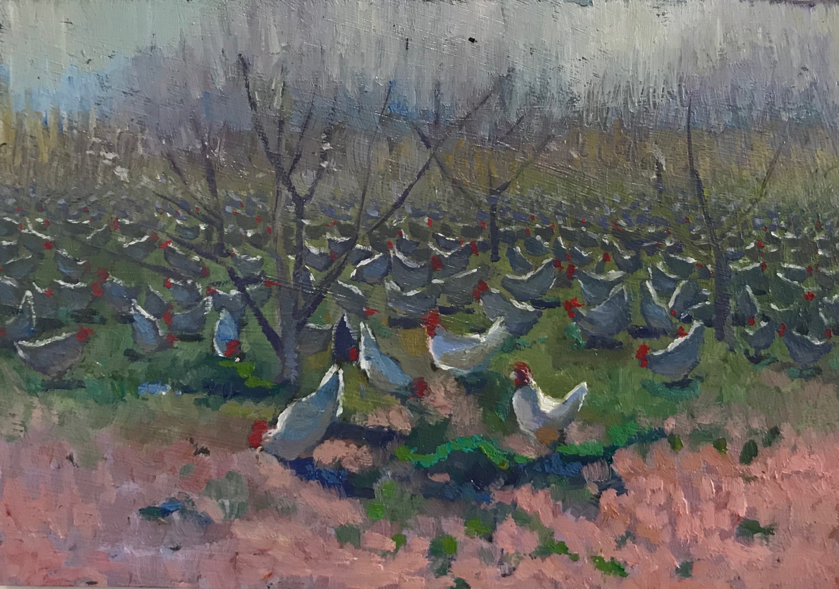 Fox and Chook Activity Pack | New England Regional Art Museum